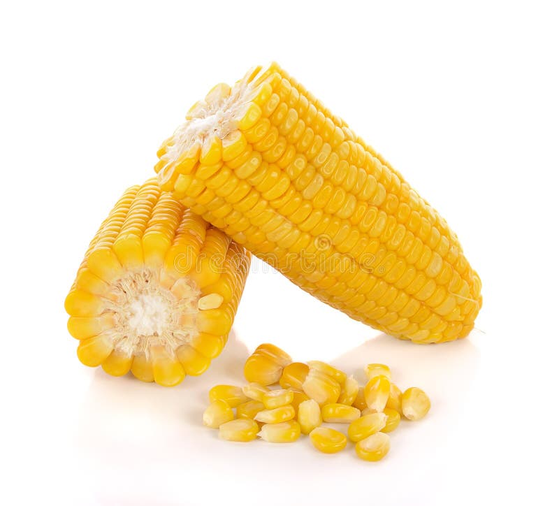 Corn on white background. stock photo. Image of crop - 118165588