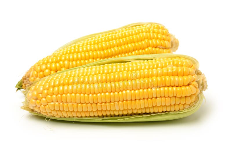 Corn stock image. Image of colorful, detail, grain, green - 183740363