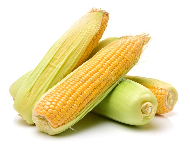 RED CORN COB stock photo. Image of vegetable, husk, masa - 21246490