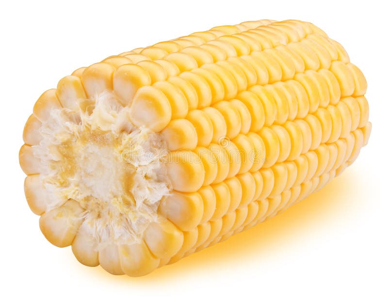 194,478 Corn White Background Photos - Free & Royalty-Free Stock Photos ...