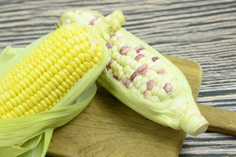 Corn on the wood floor stock image. Image of snack, brown - 184983075
