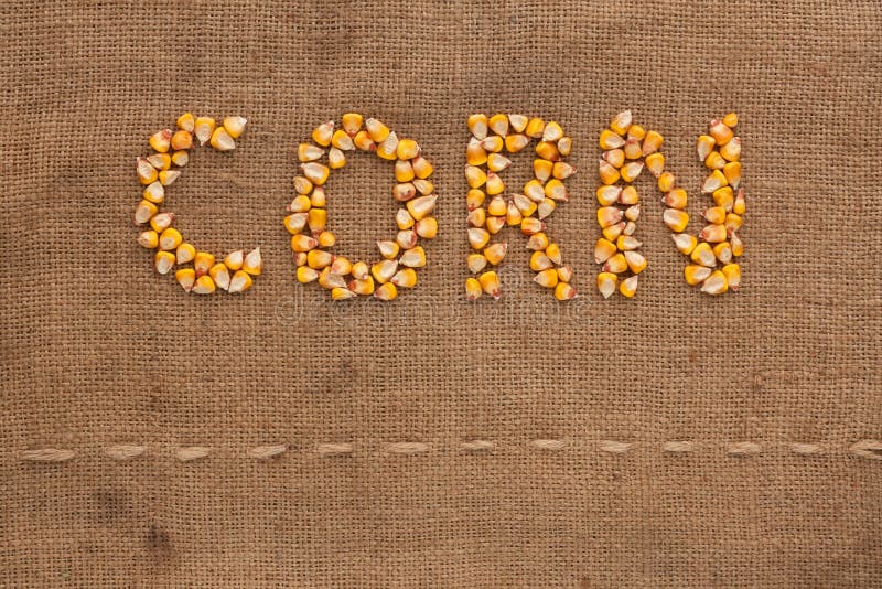 Corn word written on sackcloth, can be used as background. Corn word ...