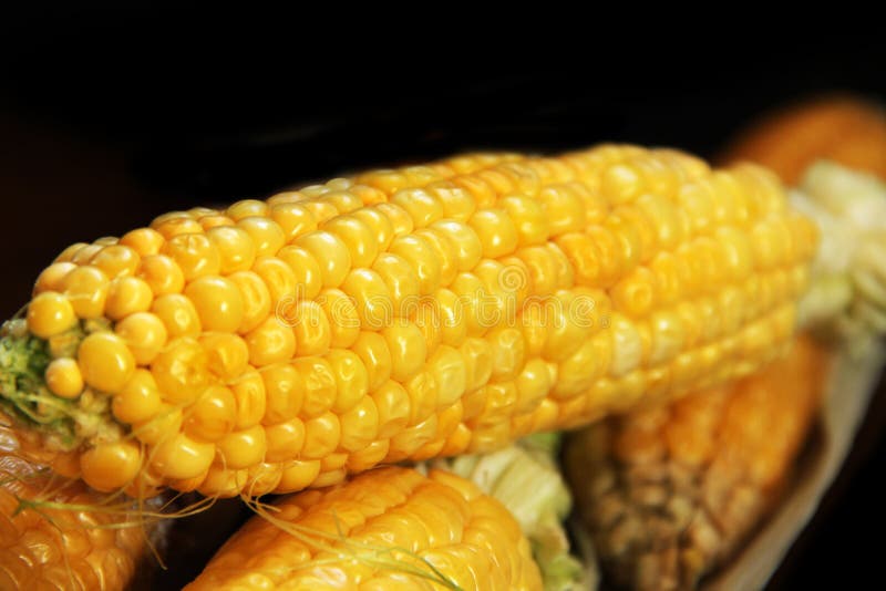 Corn. Yellow corn close up stock image. Image of corn - 196010337