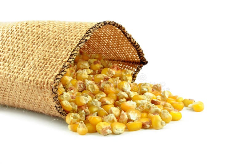 Bag of corn kernels. stock image. Image of gold, textile - 60101123