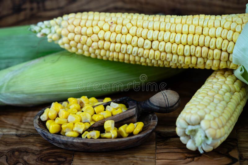 Corn Zea mays stock photo. Image of fresh, freshness - 333012036