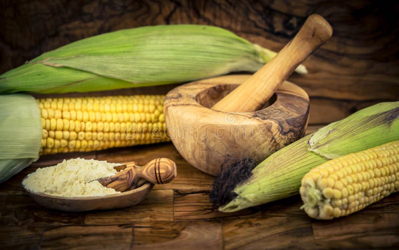 Corn Zea mays stock image. Image of cultivated, crunchy - 333012063