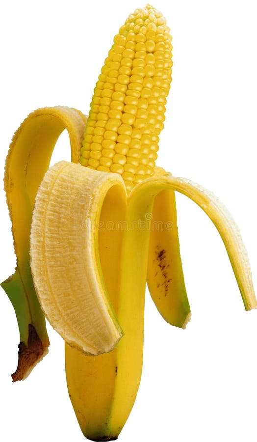 Cornana Stock Photos - Free & Royalty-Free Stock Photos from Dreamstime