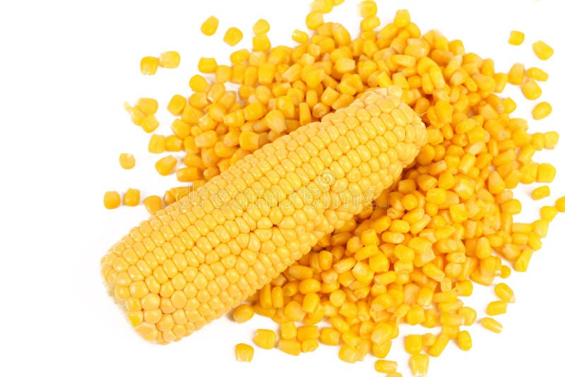 Corncob on a Bulk of Corn Grains. Stock Image - Image of kernel, bulk ...