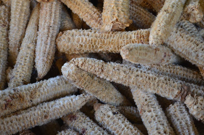 29,955 Elote Prehispanico Fotos de stock - Fotos libres de regalías de ...