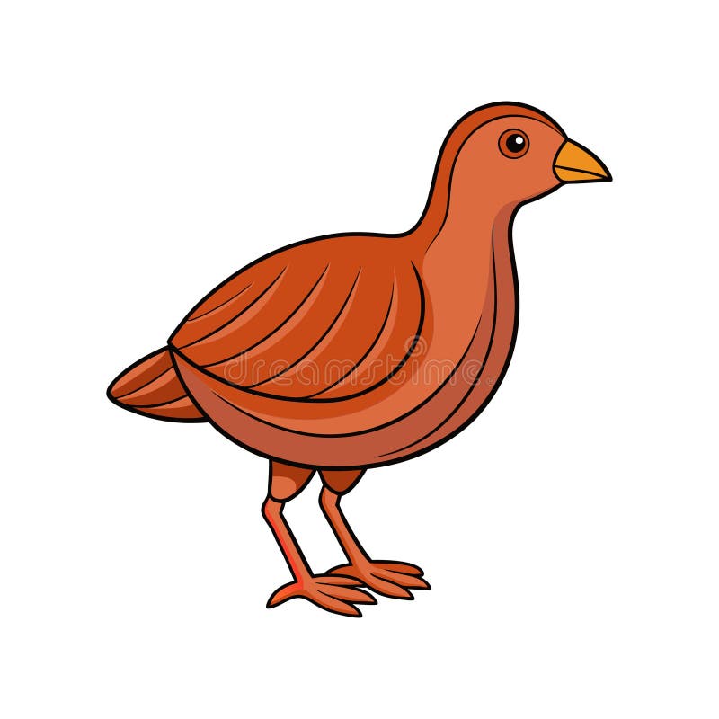 Corncrake Bird Realistic Illustration Stock Image - Illustration of ...