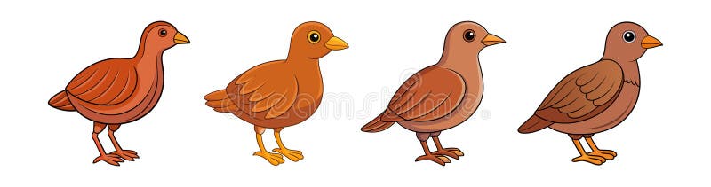 Corncrake Bird Realistic Illustration Stock Vector - Illustration of ...