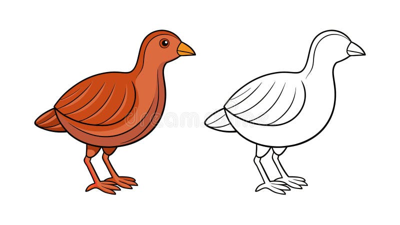 Corncrake Bird Realistic Illustration Stock Illustration - Illustration ...