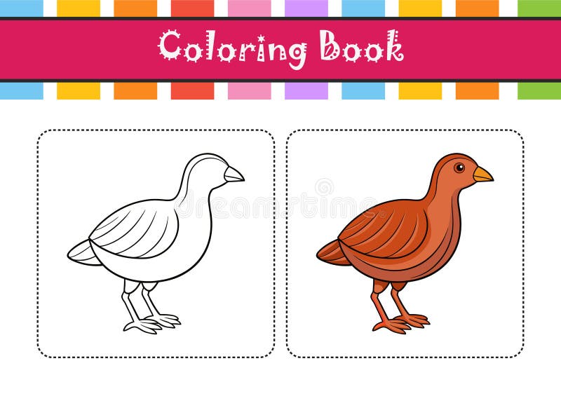 Corncrake Bird Realistic Illustration Stock Vector - Illustration of ...