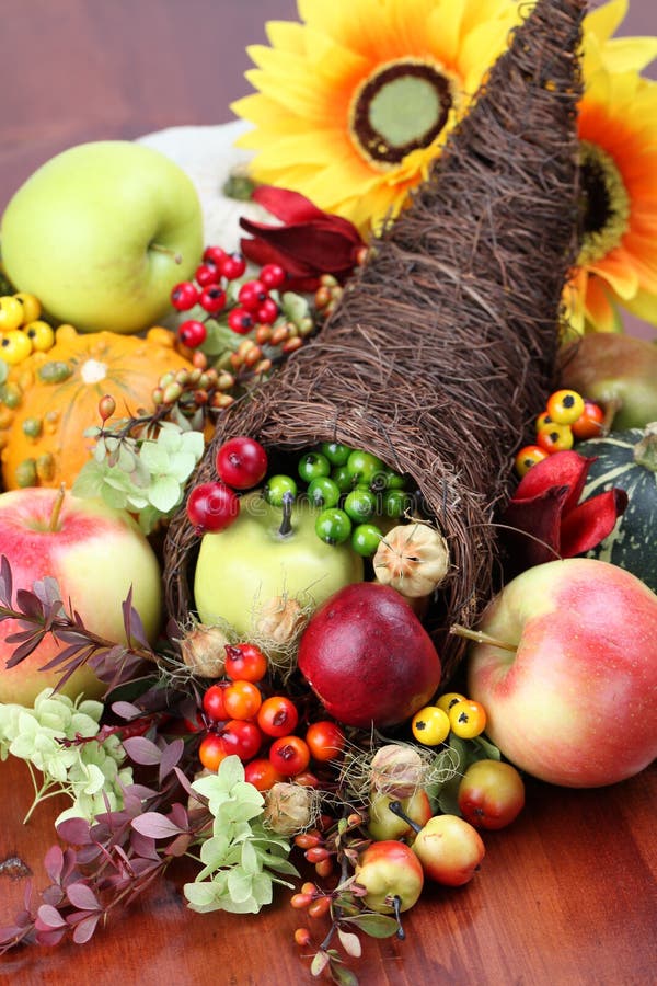 Corne d'abondance photo stock. Image du branchement, coloré - 16449636