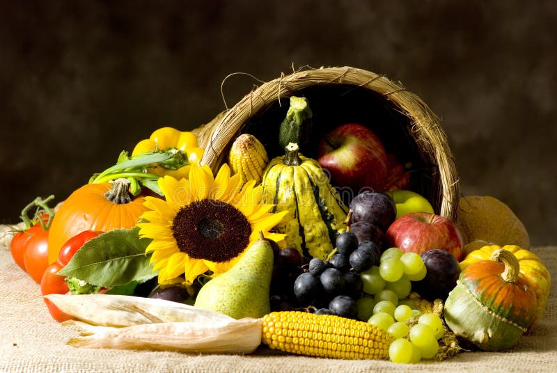 Corne D'abondance De Moisson Photo stock - Image du générosité, courges ...