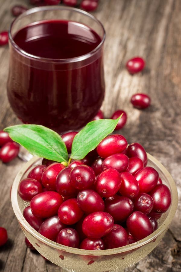 Cornel berry juice stock photo. Image of juice, glass - 48073600