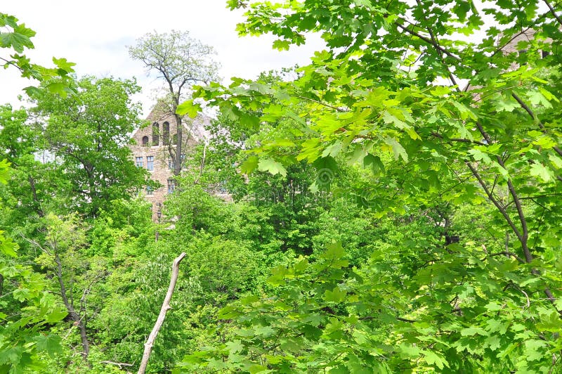 Cornell Campus Building Behind Trees Stock Image - Image of ...