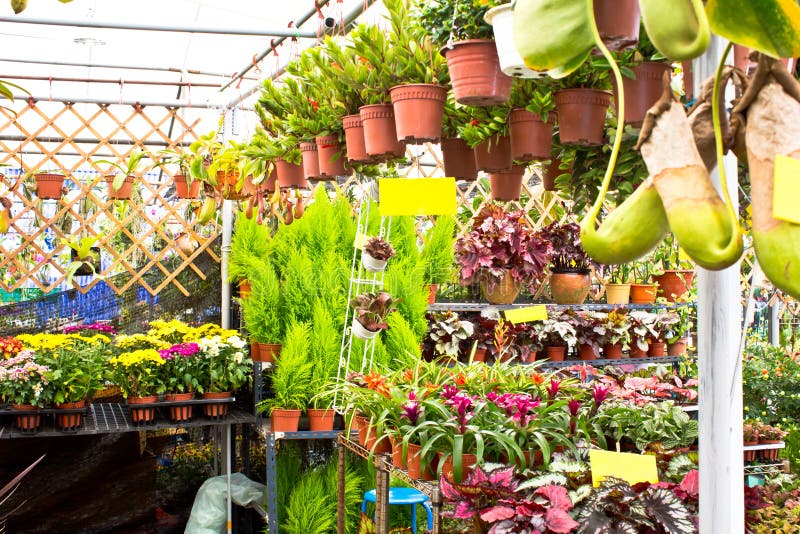 Corner of botanic garden stock photo. Image of pink, beautiful - 34740510