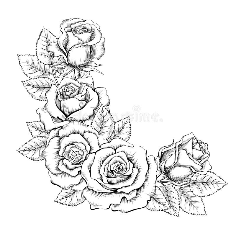 Corner Composition with Vintage Hand Drawn Roses Stock Vector ...