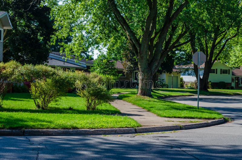 Corner of a Curving Suburban Tree Lined Shady Street Stock Photo ...
