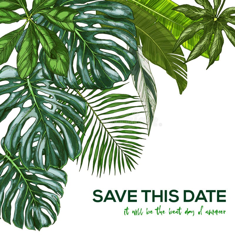 Corner Design Tropical Stock Illustrations – 3,801 Corner Design ...