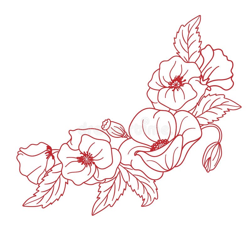 Corner Element Made of Poppy Flowers. Vector Illustration for ...