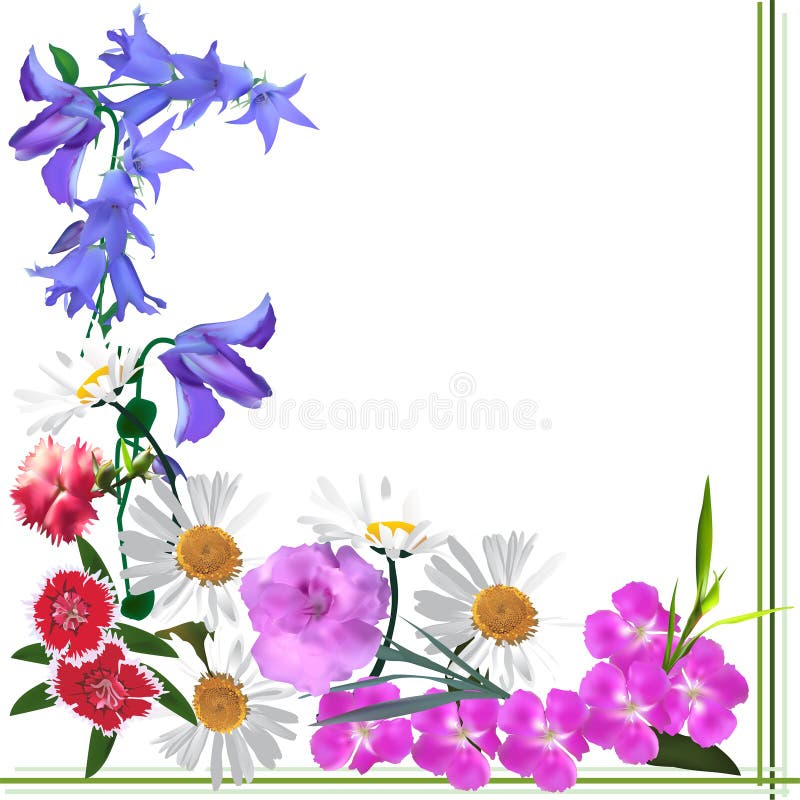 Corner of Flowers Isolated on White Stock Photo - Image of nature ...