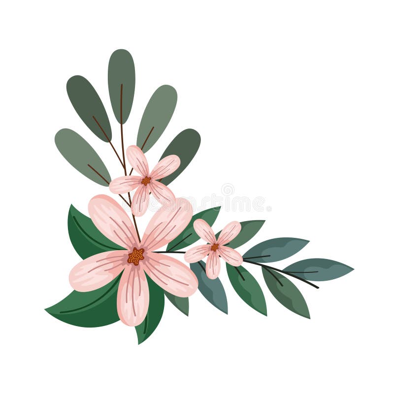 Corner Frame Flowers Arrangement Stock Illustration - Illustration of ...