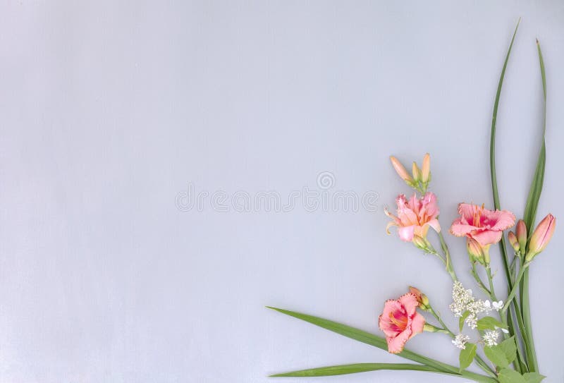 Corner Frame with Flowers of Lilies on Grey Paper Stock Photo - Image ...