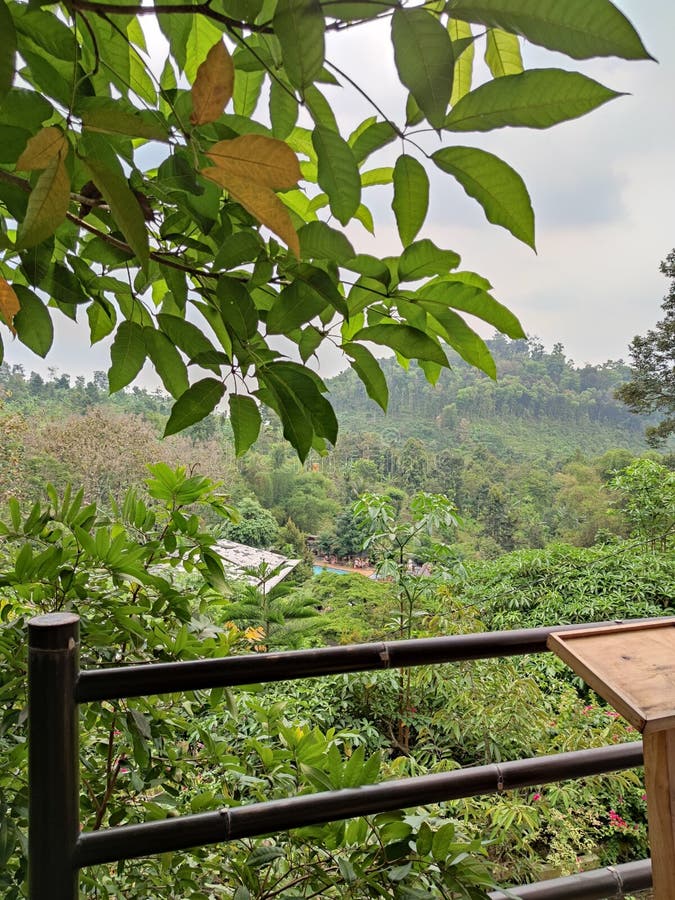 In the Corner of the Green Mountain Hill Stock Image - Image of ...