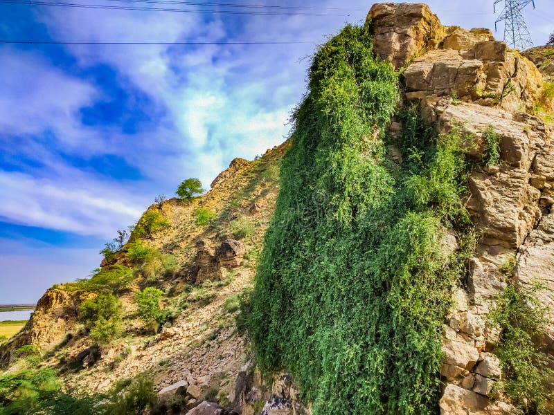 Corner of Hill Covers with Grass Stock Image - Image of fresh, covers ...