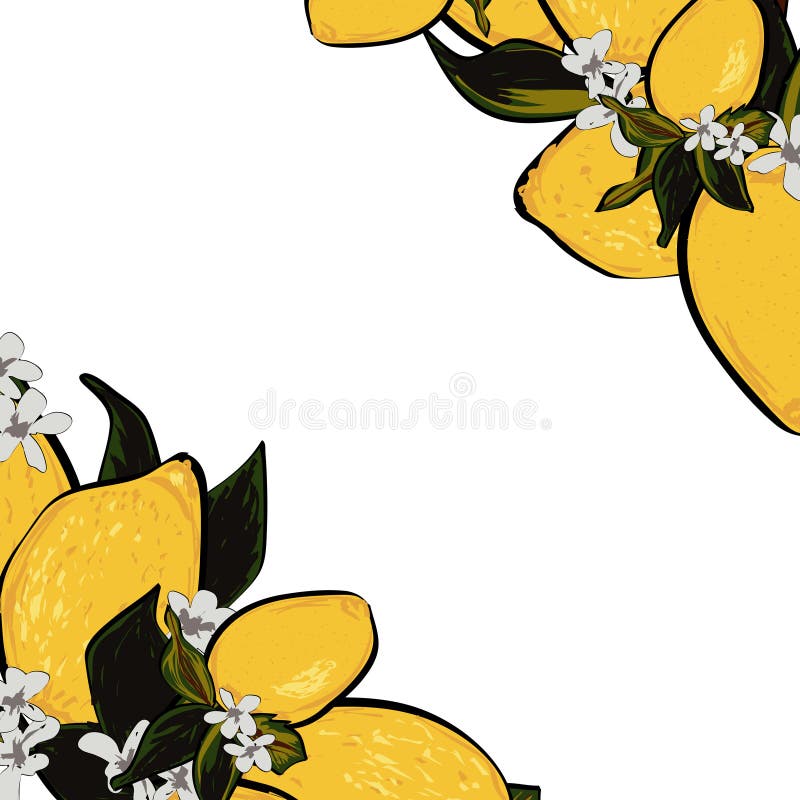 Corner lemon template stock vector. Illustration of decorative - 72147879