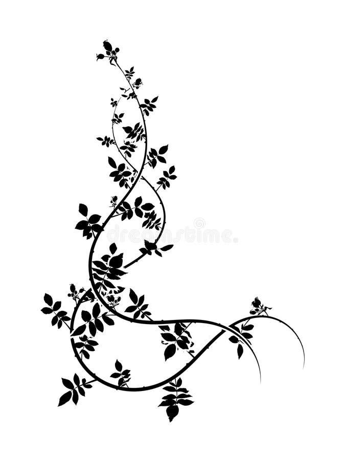 Corner Pattern Weaving Rose Hip from Bottom To Top Stock Vector ...