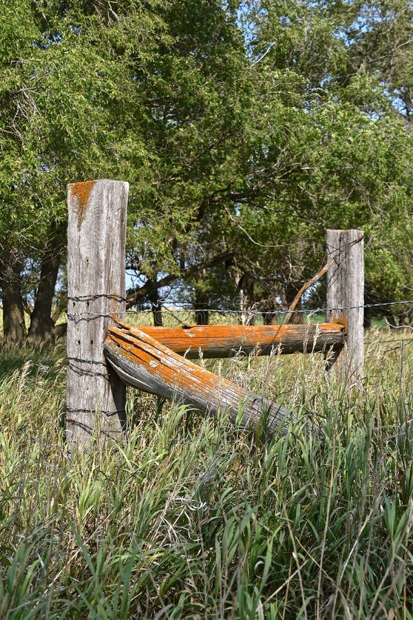 A Corner Fence Post Surrounded by Long Grass Stock Photo - Image of ...