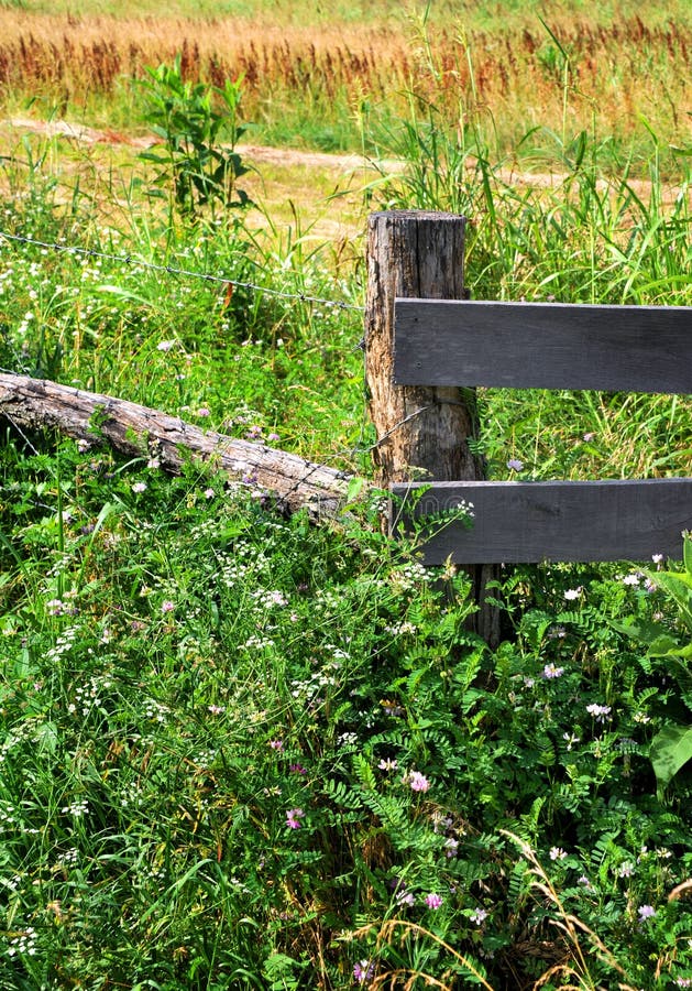 Strength and Stability for Corner Post Stock Photo - Image of milo ...