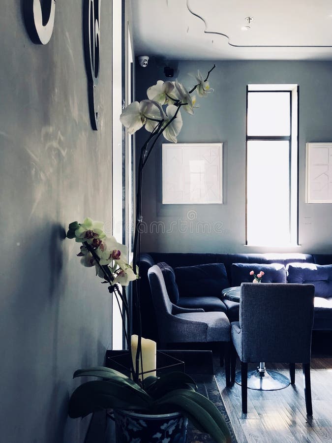 A corner stock photo. Image of corner, restaurant, quiet - 114376860