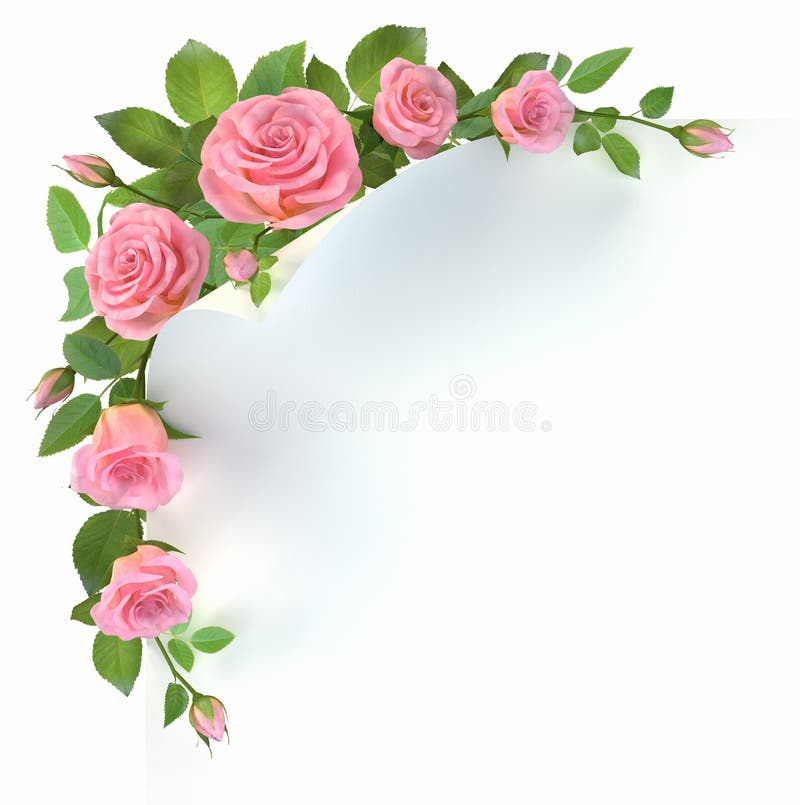 Corner with roses. stock illustration. Illustration of leaves - 41485656