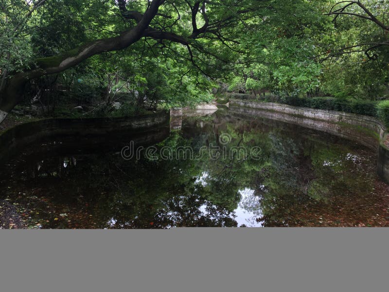 A Corner of a Sunny Spring Park Stock Photo - Image of park, sunny ...