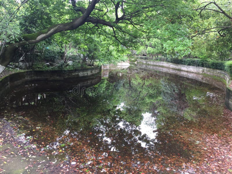 A Corner of a Sunny Spring Park Stock Photo - Image of spring, trees ...
