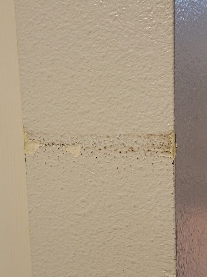 Corner Wall Paint and Dry Wall Damaged Stock Image - Image of build ...