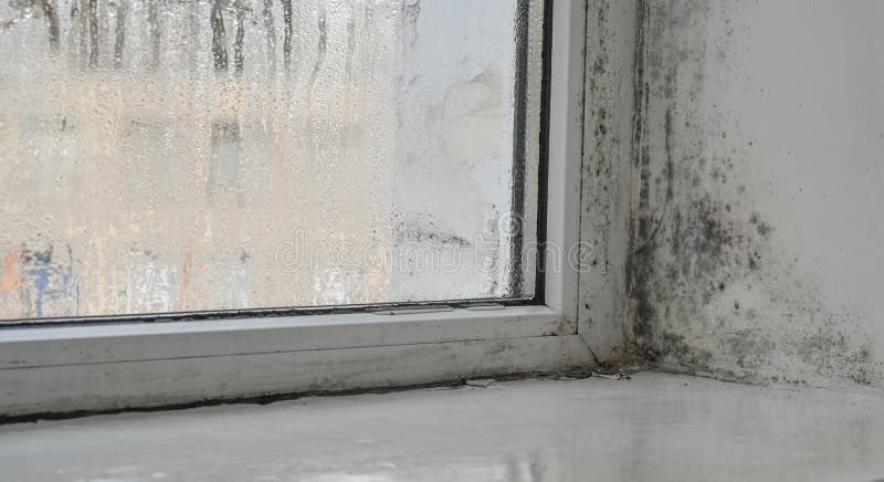 Corner of Window in Apartment Covered with Black Mold. Dirty Spots ...