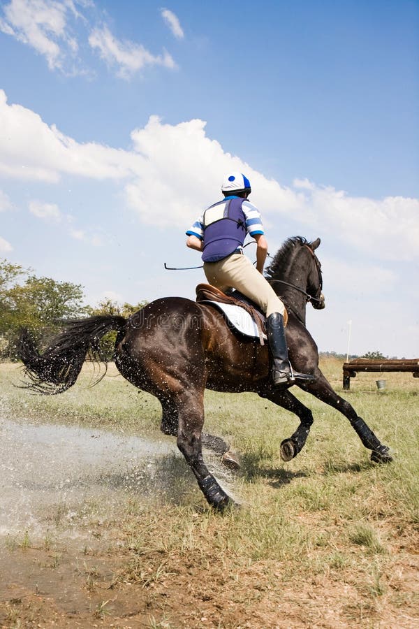 Cornering at speed stock image. Image of three, turn, canter - 7200897