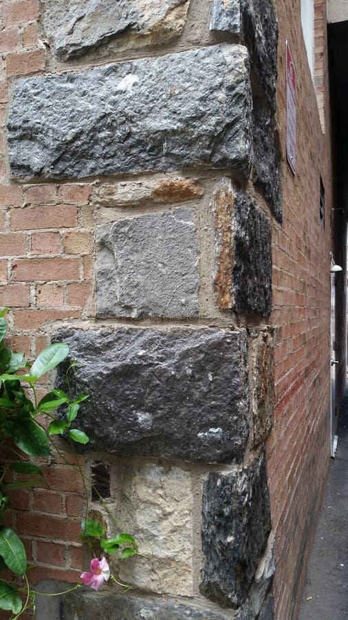 Cornerstone stock photo. Image of vines, bricks, cornerstone - 98256350