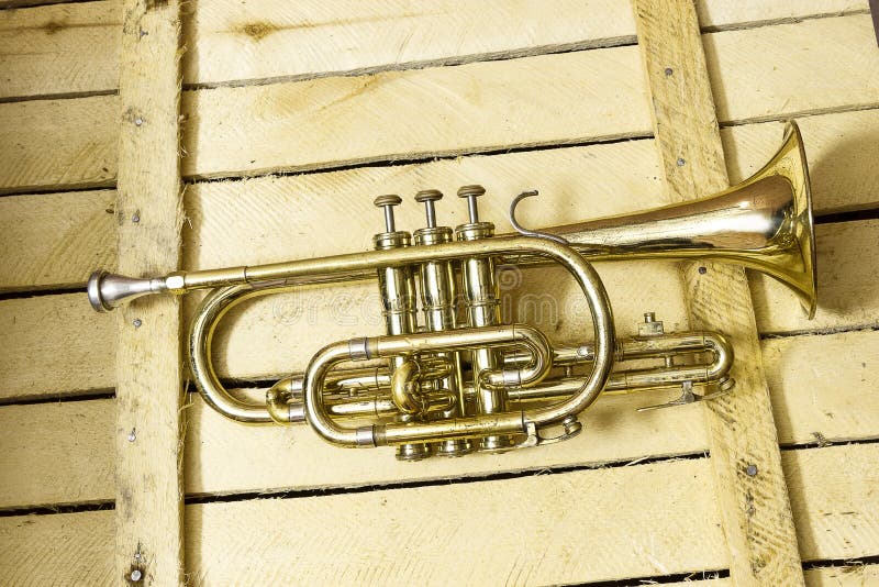 Cornet stock image. Image of wood, blues, music, diagonal - 61962757