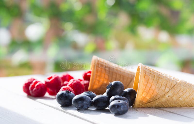 Cornets berries stock image. Image of forest, delicious - 68914497