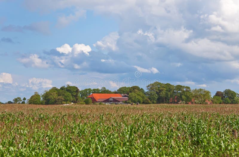 Farmland stock image. Image of barn, tillage, growing - 2956087