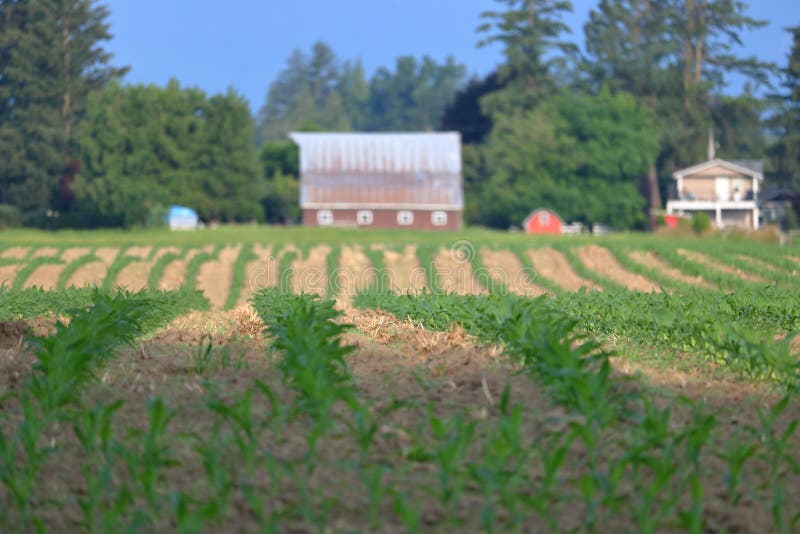 143 Small Hobby Farm Barn Stock Photos - Free & Royalty-Free Stock ...