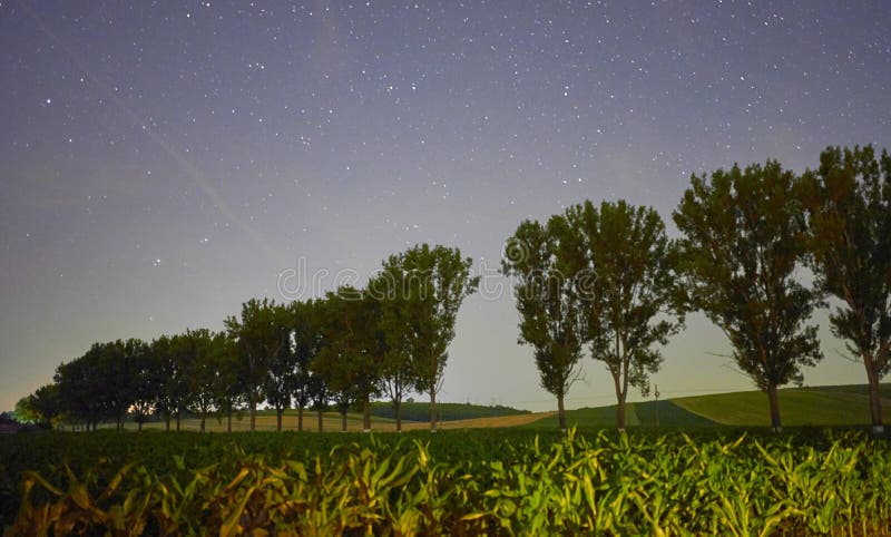 Cornfield Nightsky Stock Photos - Free & Royalty-Free Stock Photos from ...