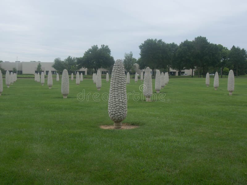 Cornfield Sculptures stock image. Image of white, yellow - 83403139