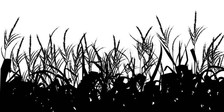 Underbrush Border Stock Illustrations – 3 Underbrush Border Stock ...